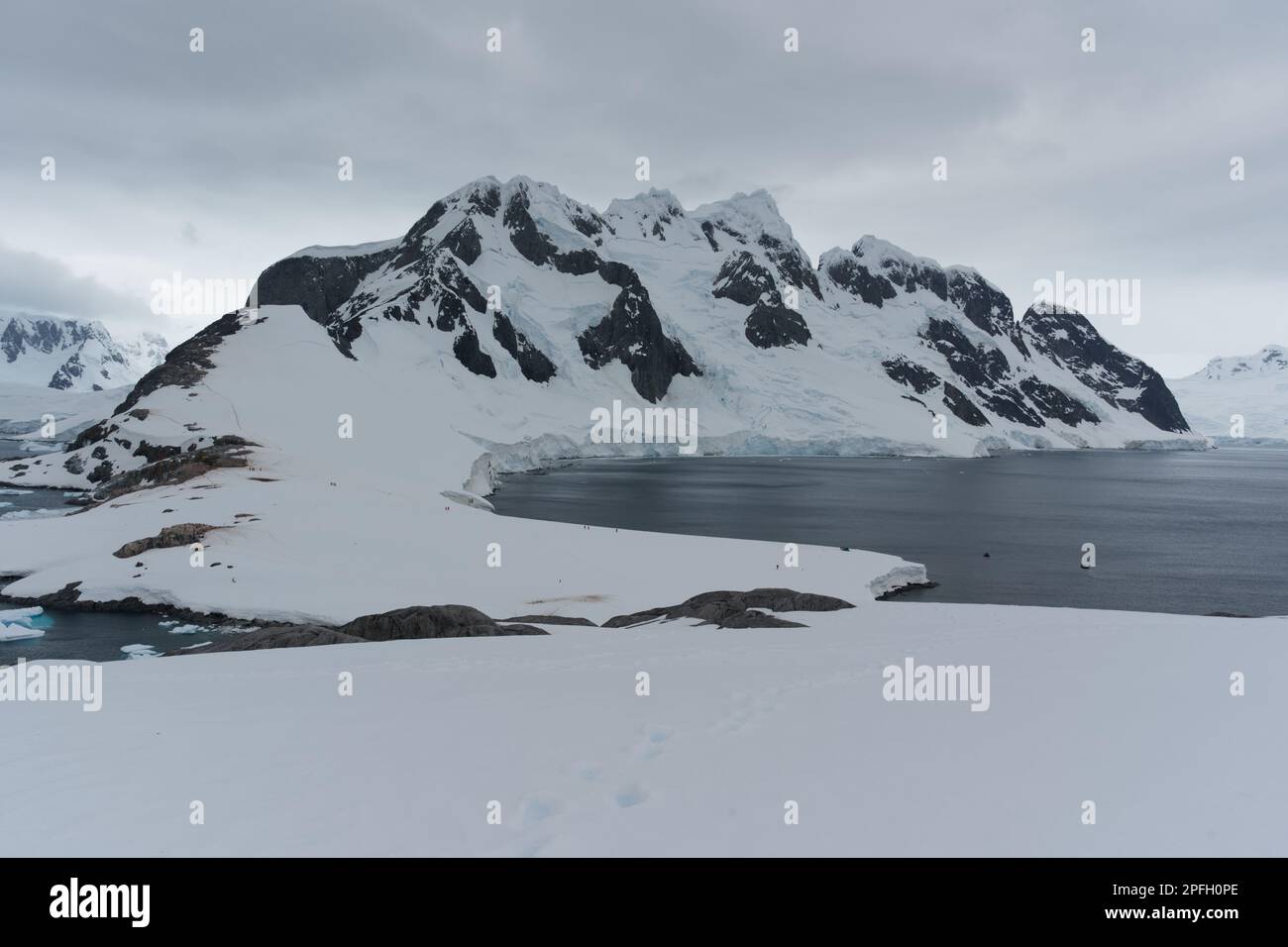 Charcot island hi-res stock photography and images - Alamy