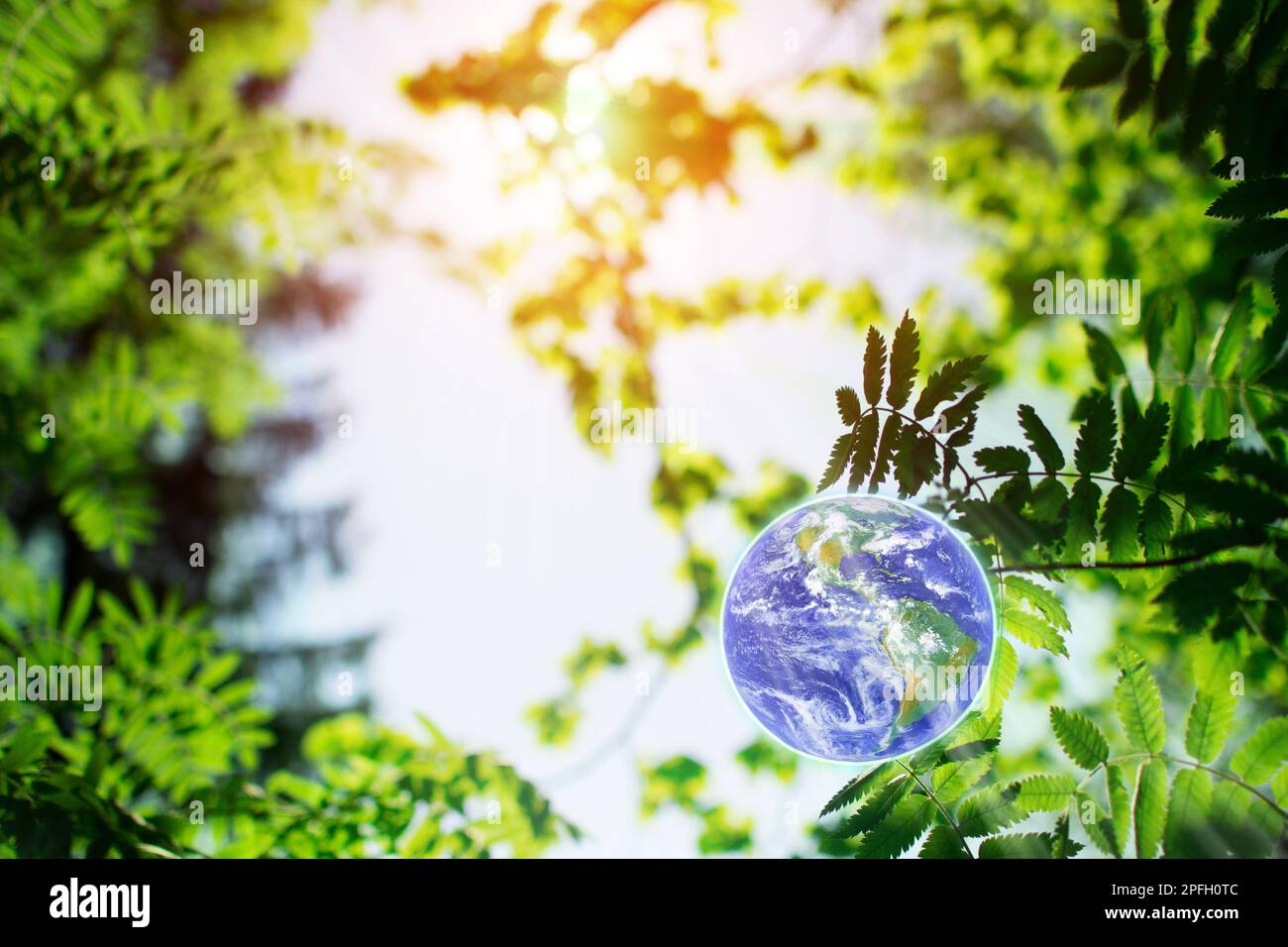 Earth on the background of blurred trees. The concept of saving the ...