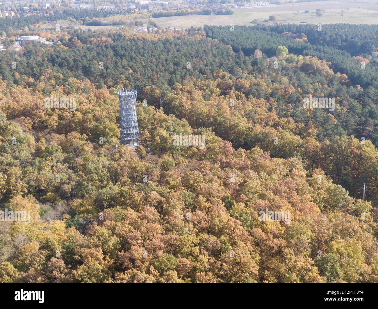 An aerial view of a forest covered in yellowing trees in autumn Stock ...