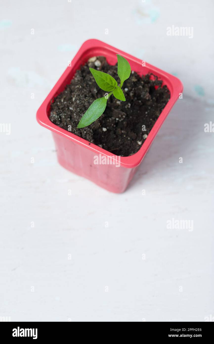 Generationrestoration hi-res stock photography and images - Alamy