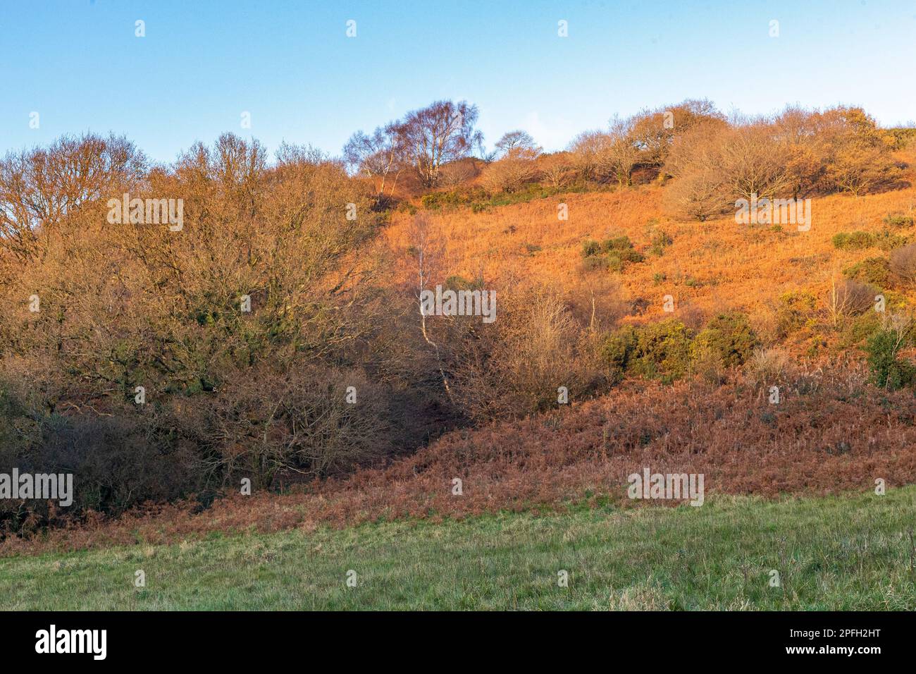 Rice point path hi-res stock photography and images - Alamy
