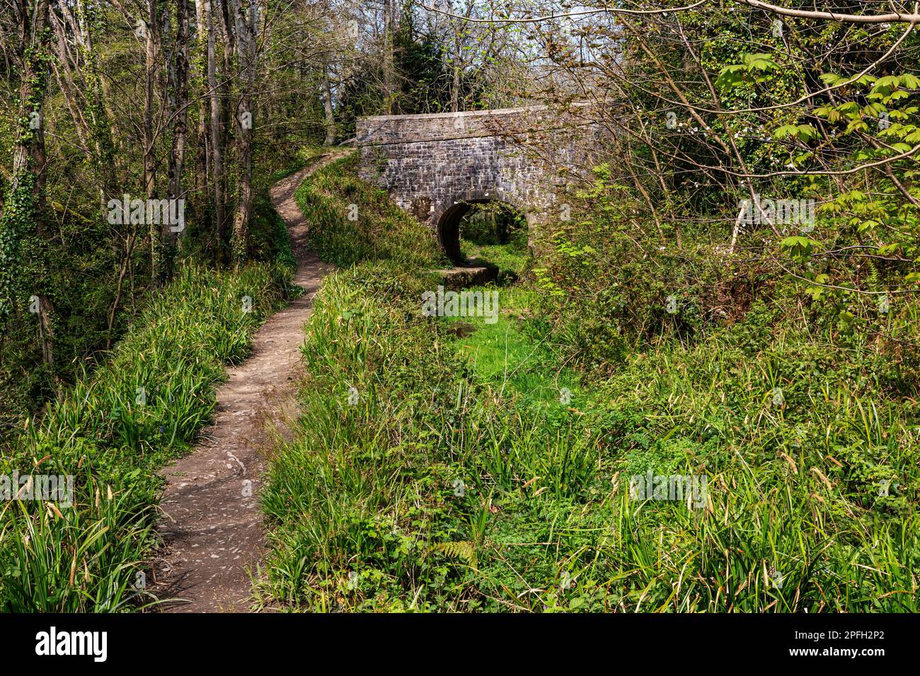 History of great torrington hi-res stock photography and images - Alamy