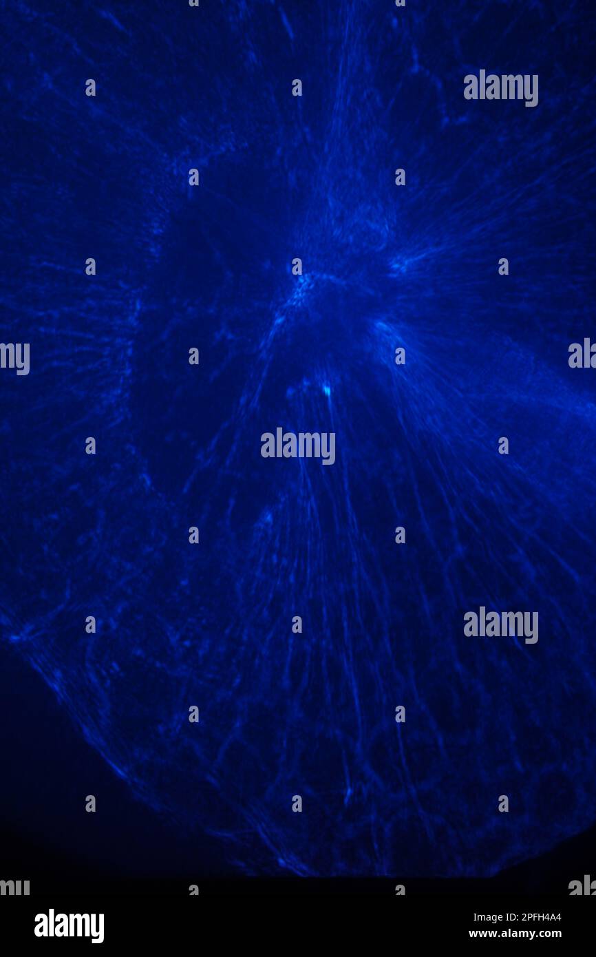 led light effect in bottle, diffused light Stock Photo - Alamy