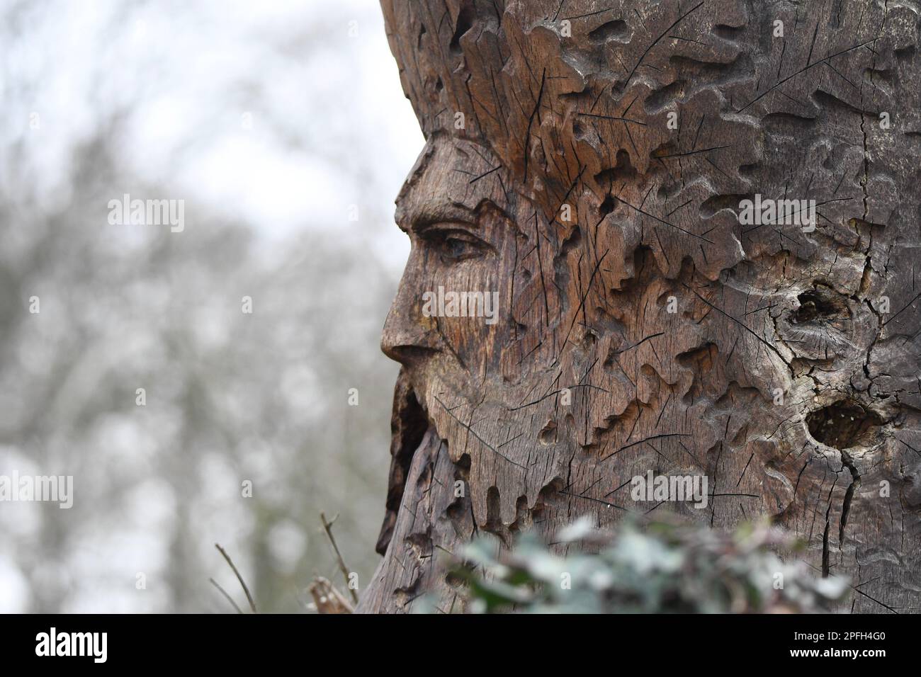 Face carved into tree hi-res stock photography and images - Alamy