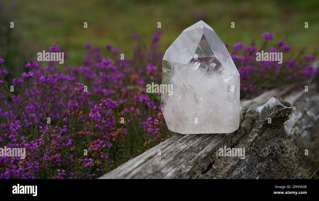 Crystal quartz in nature. Forest, flower Stock Photo - Alamy