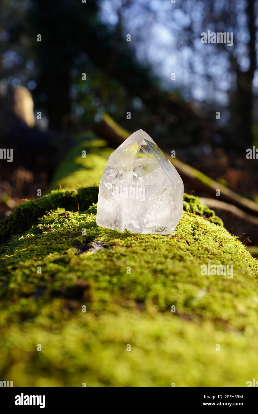 Clear crystal quartz in forest. Nature and harmony Stock Photo - Alamy