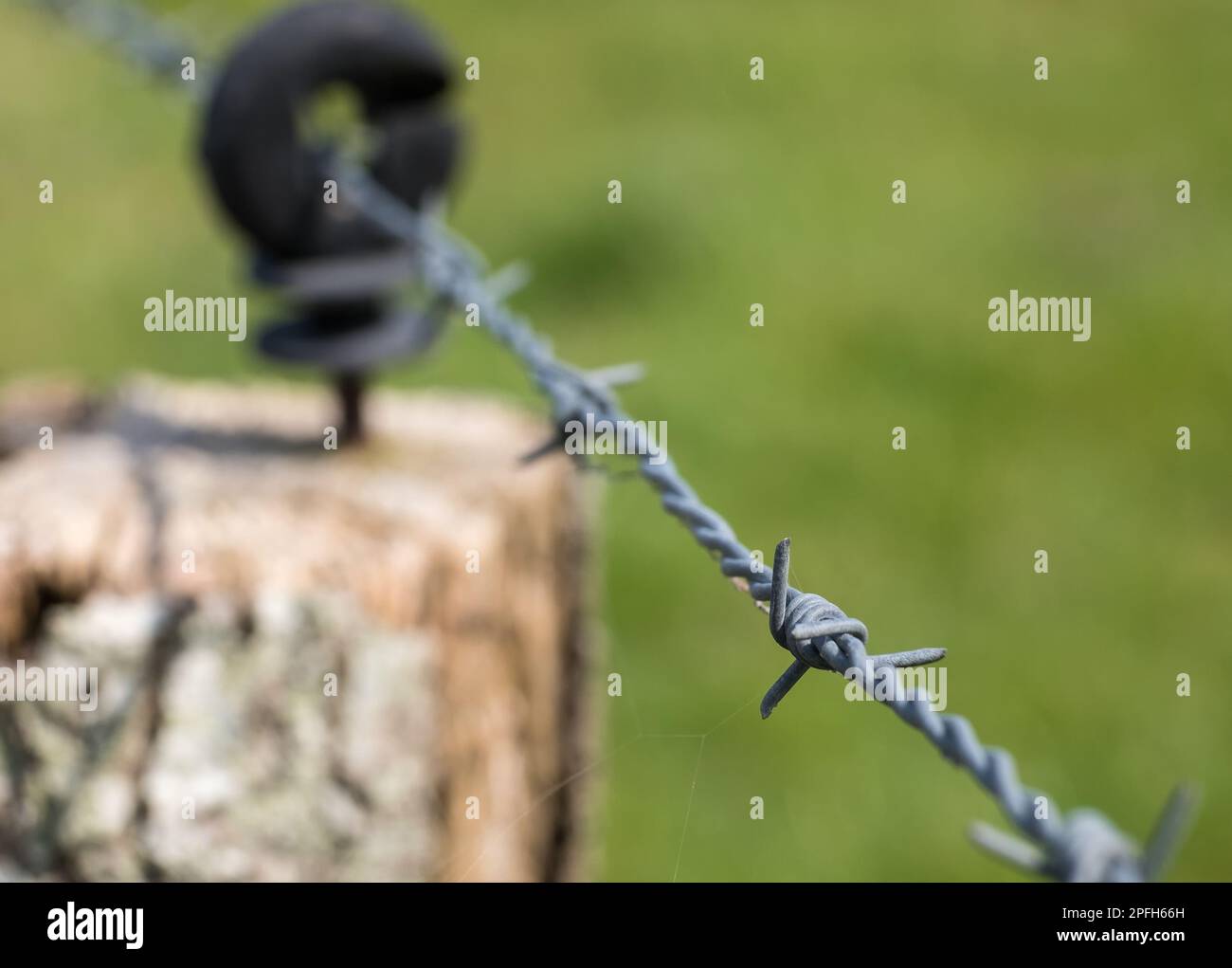 Stacheldraht stacheldrahtzaun hi-res stock photography and images - Alamy