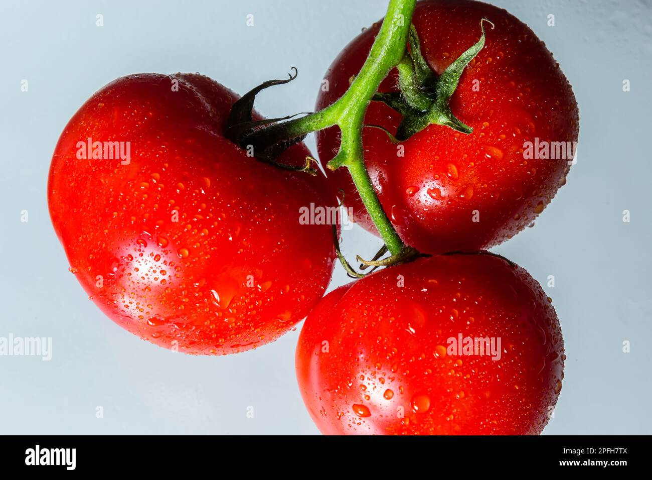 Red tomatoes with green cuttings and drops of water after washing, on a ...