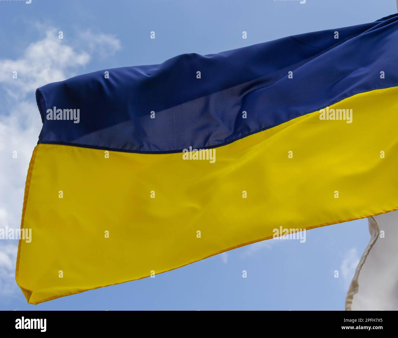 Ukrainian flag in the wind on blue sky background. Large national ...