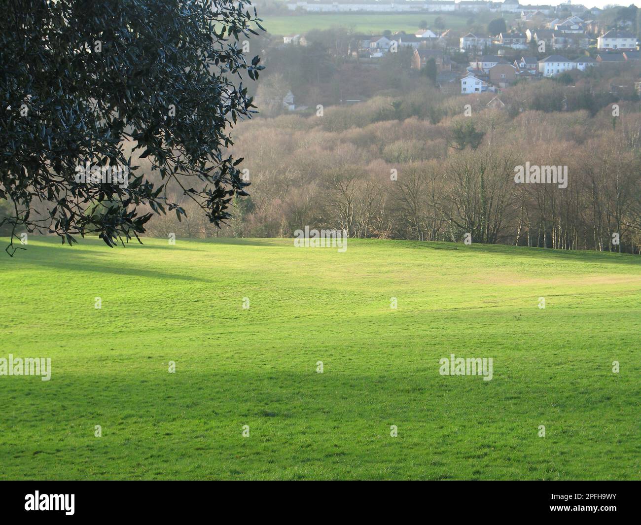 A scenic view of a lush green grassy field surrounded by a few ...