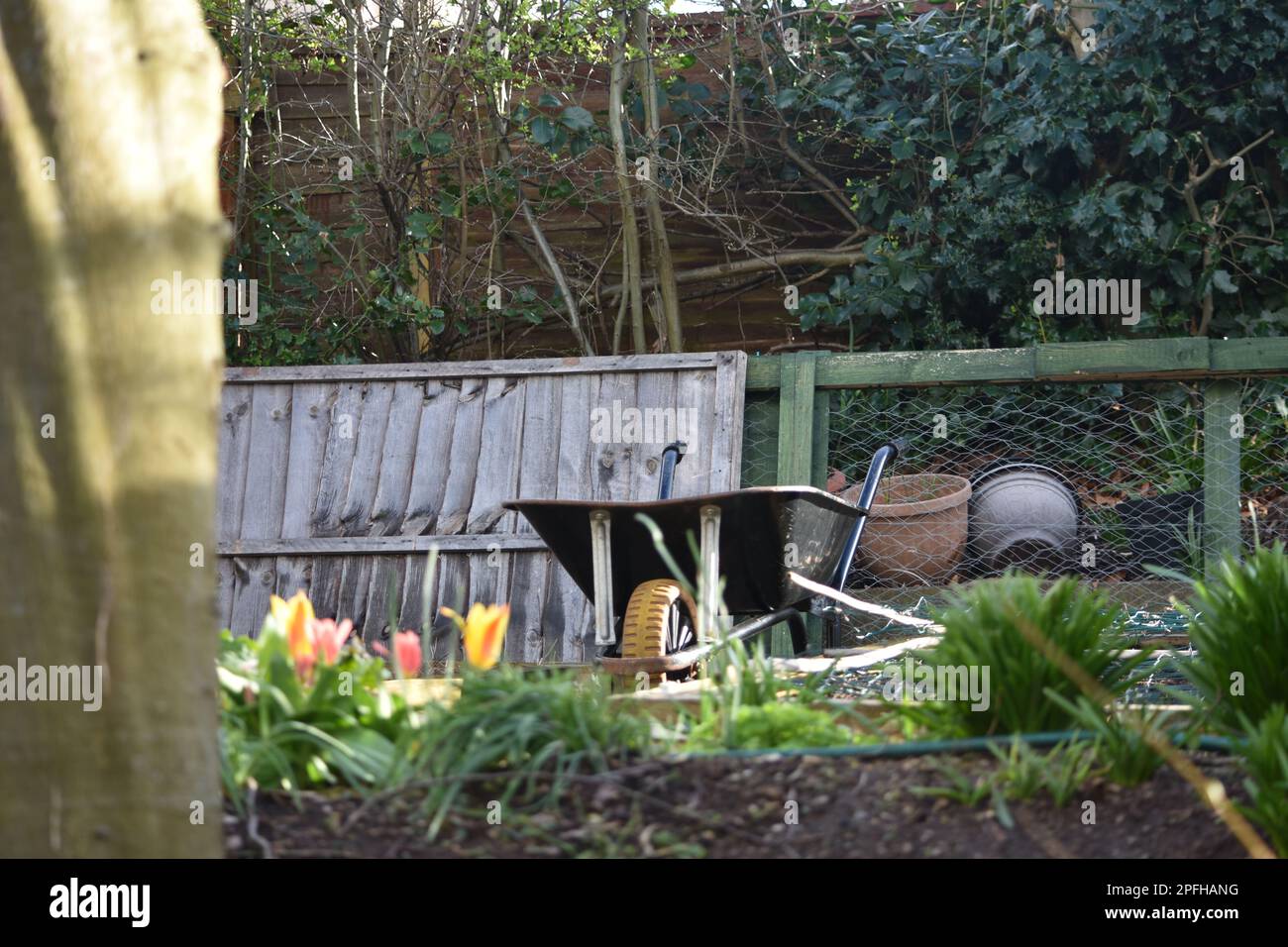 Weekend gardening hi-res stock photography and images - Alamy