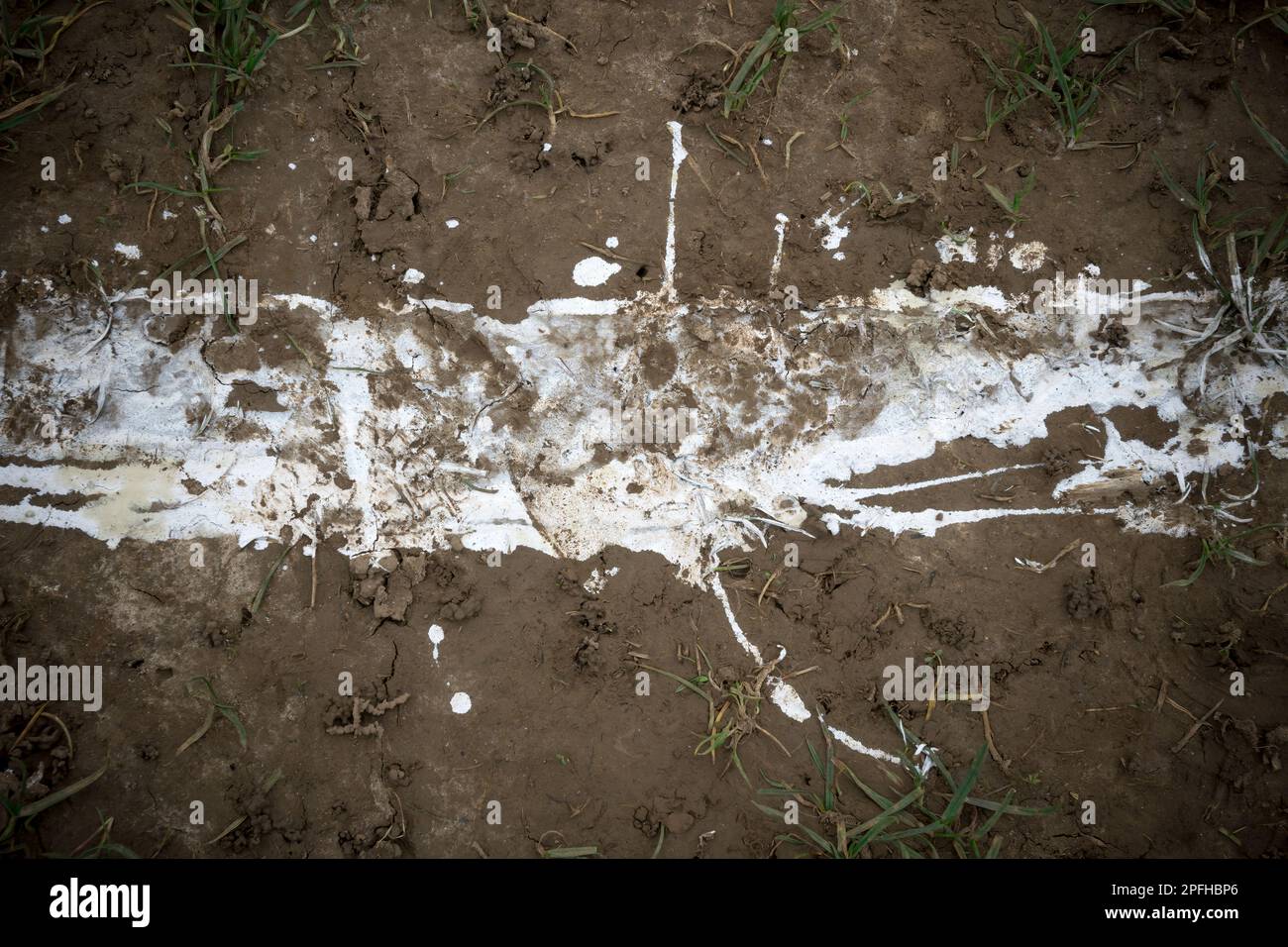 Close up of splashed white line on local football pitch Stock Photo - Alamy