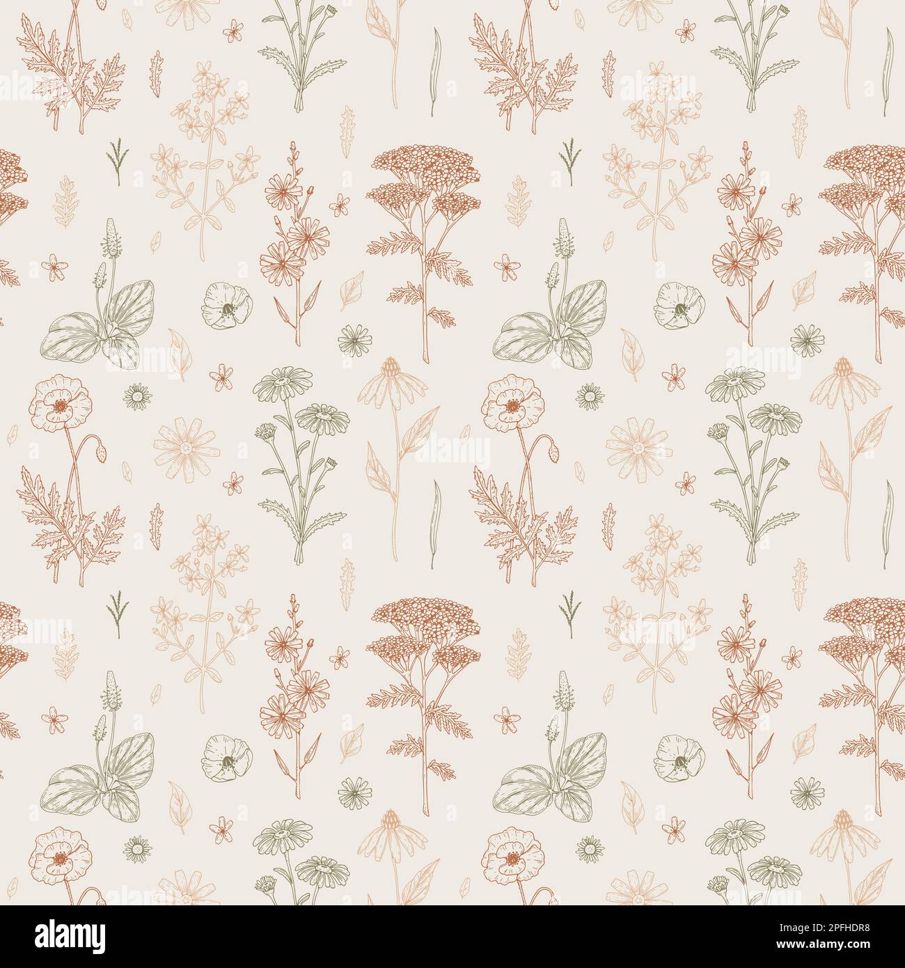 Meadow flowers seamless pattern. Hand drawn field wildflowers ...