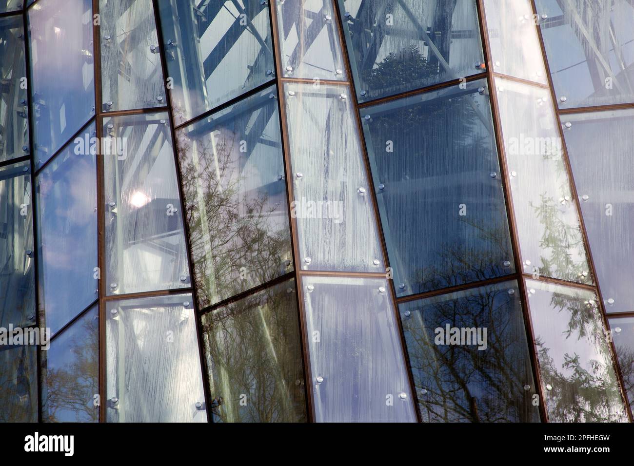 Palmiarnia parku oliwskiego hi-res stock photography and images - Alamy