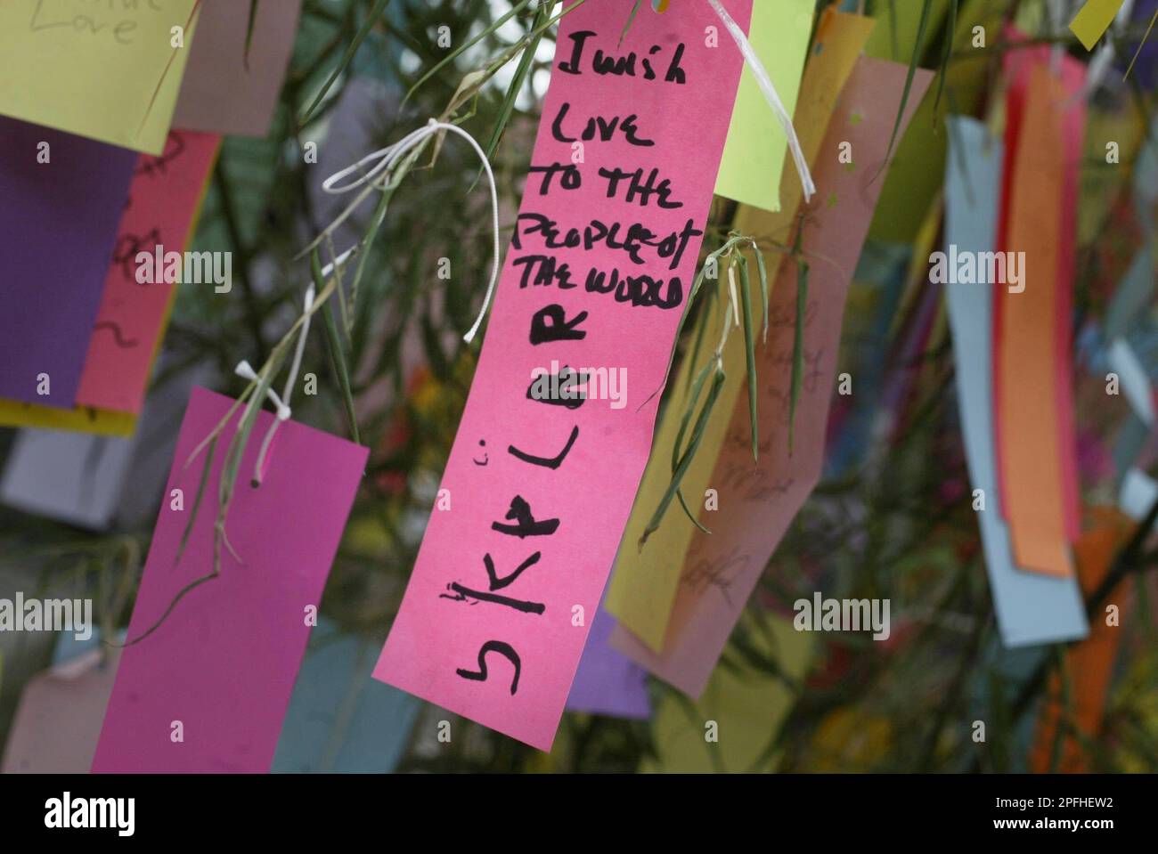 feature022 ls.jpg The papers contain the wishes of different people ...