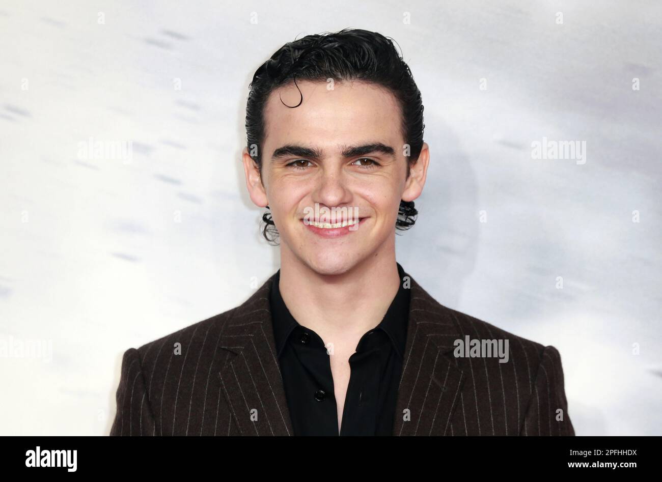 Special grazer hi-res stock photography and images - Alamy