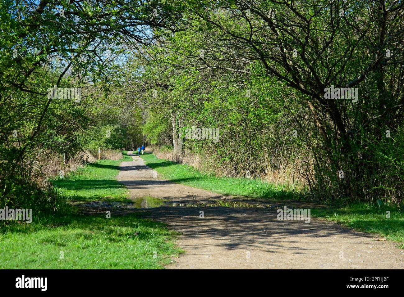 Two hikers in the distance on a path through meadows and woods in ...