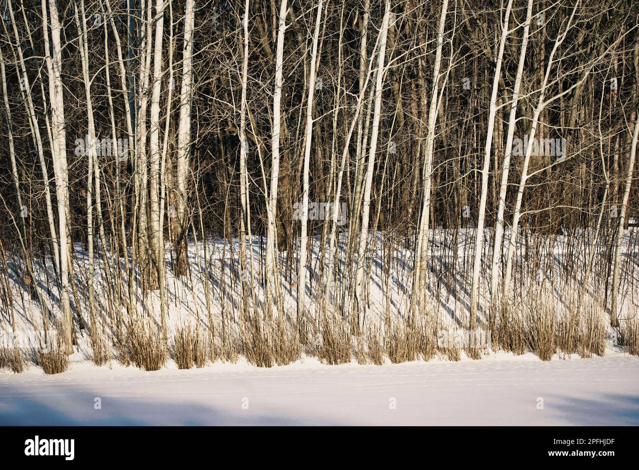 Landscape winter in quebec hi-res stock photography and images - Alamy