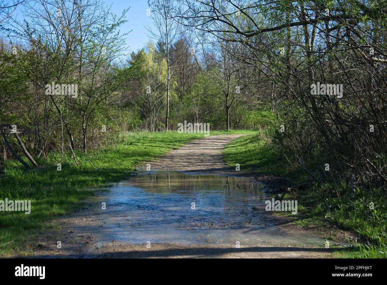 A meadow path in Northeast Ohio is covered by deep puddles after early ...