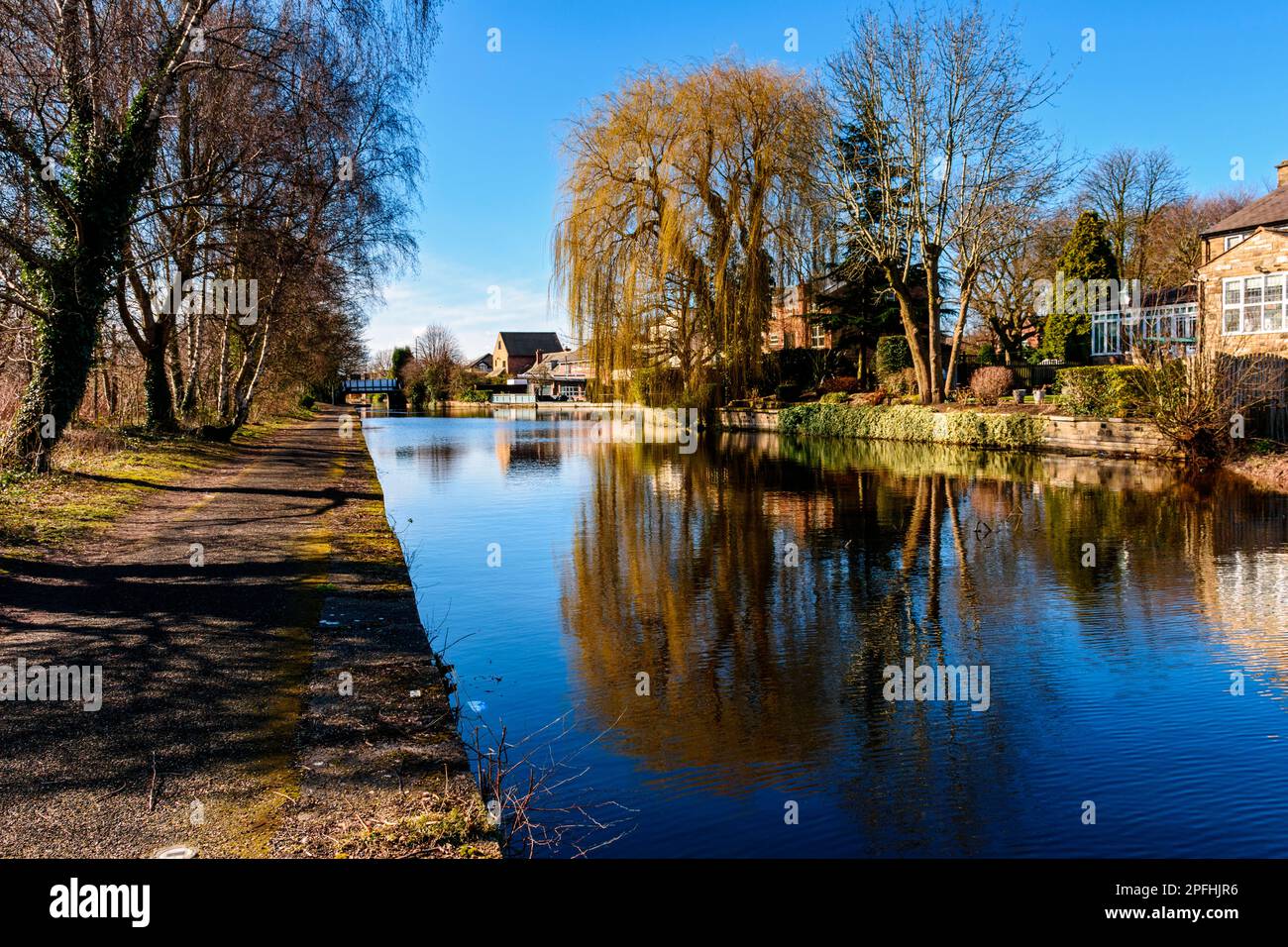 Trees reflected in the Ashton Canal, Audenshaw, Tameside, Manchester ...