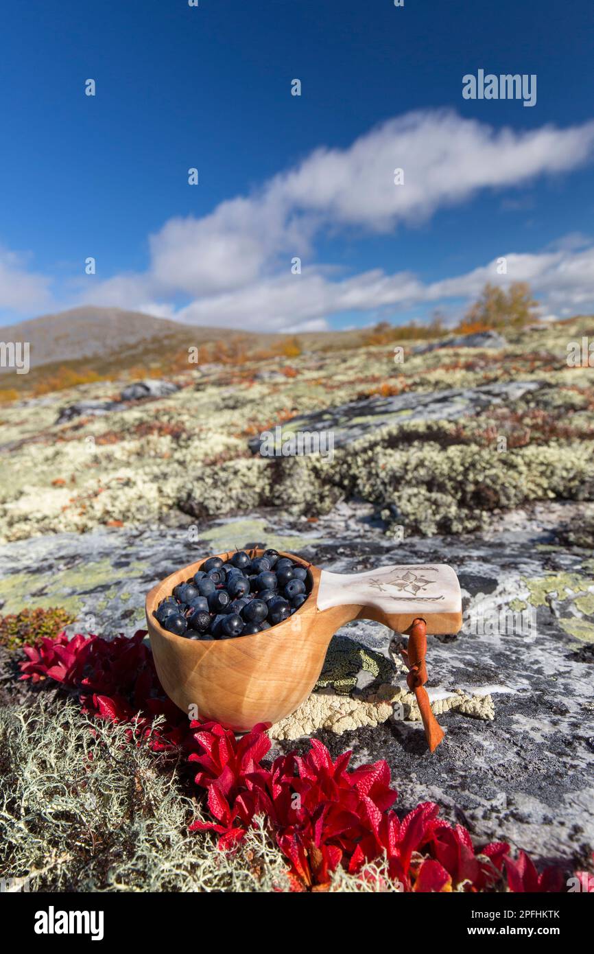 Traditional Scandinavian cup, wooden guksi / kuksa / kåsa filled with ...