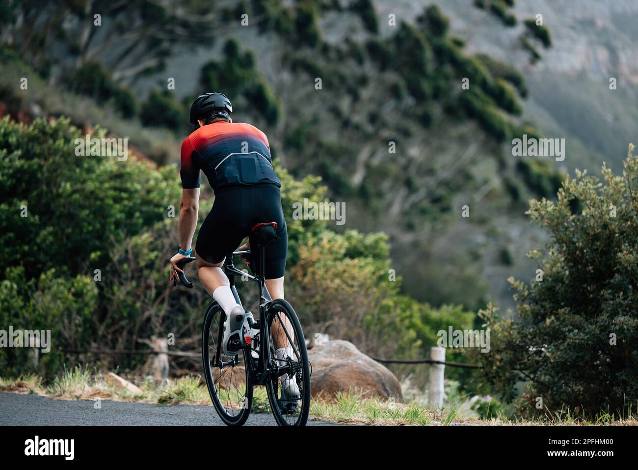 Back view on a cyclist riding a bicycle in wild terrain Stock Photo - Alamy