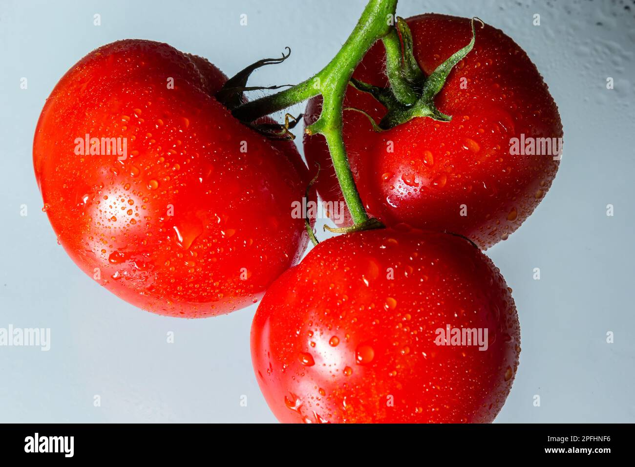Red tomatoes with green cuttings and drops of water after washing, on a ...