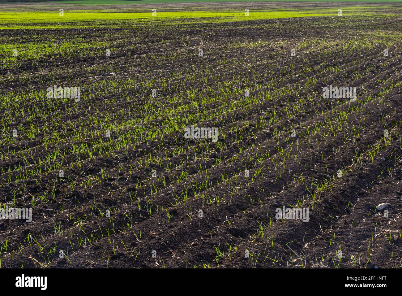 Good condition soil hi-res stock photography and images - Alamy