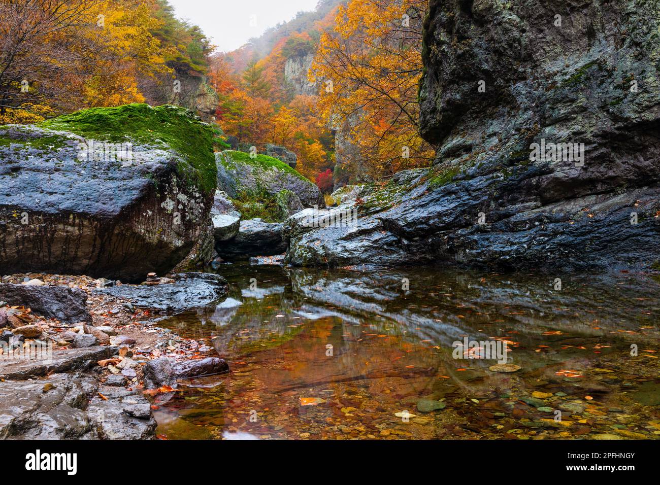 Rainy autumn mountain, valley foliage landscape. Mountains covered with ...