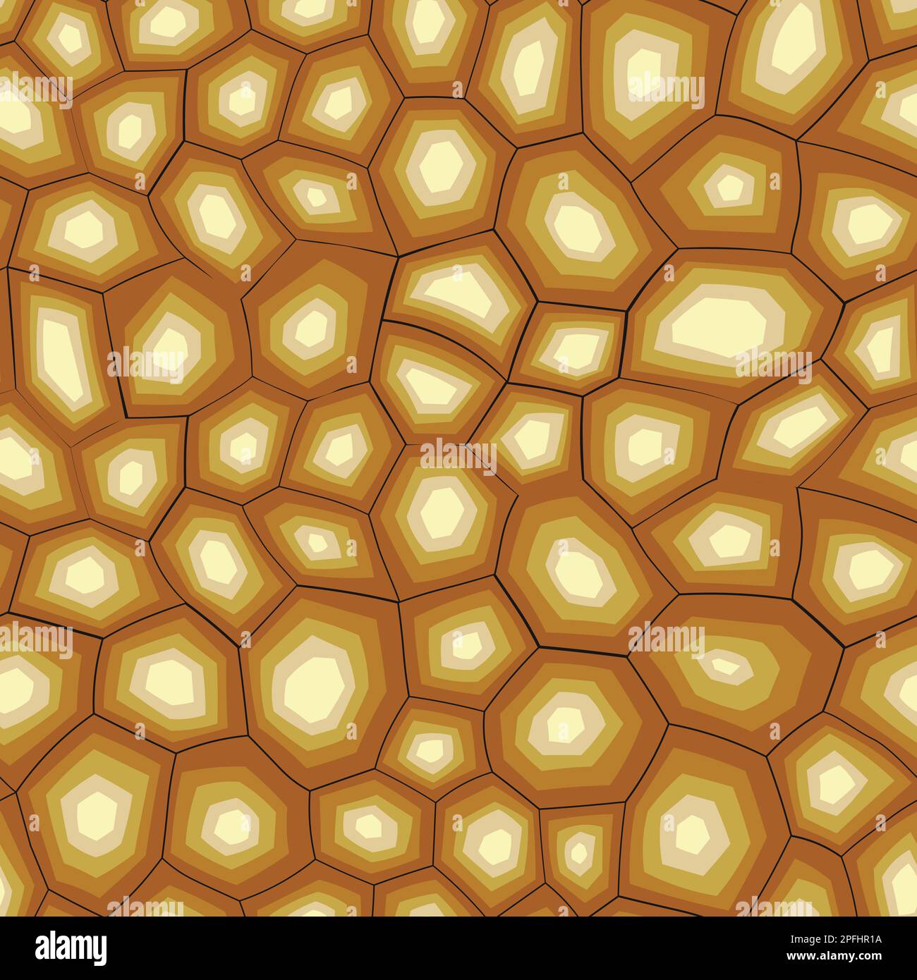 Turtle Shell Pattern Wallpaper Free Vectors | Tortoise Shell Pattern