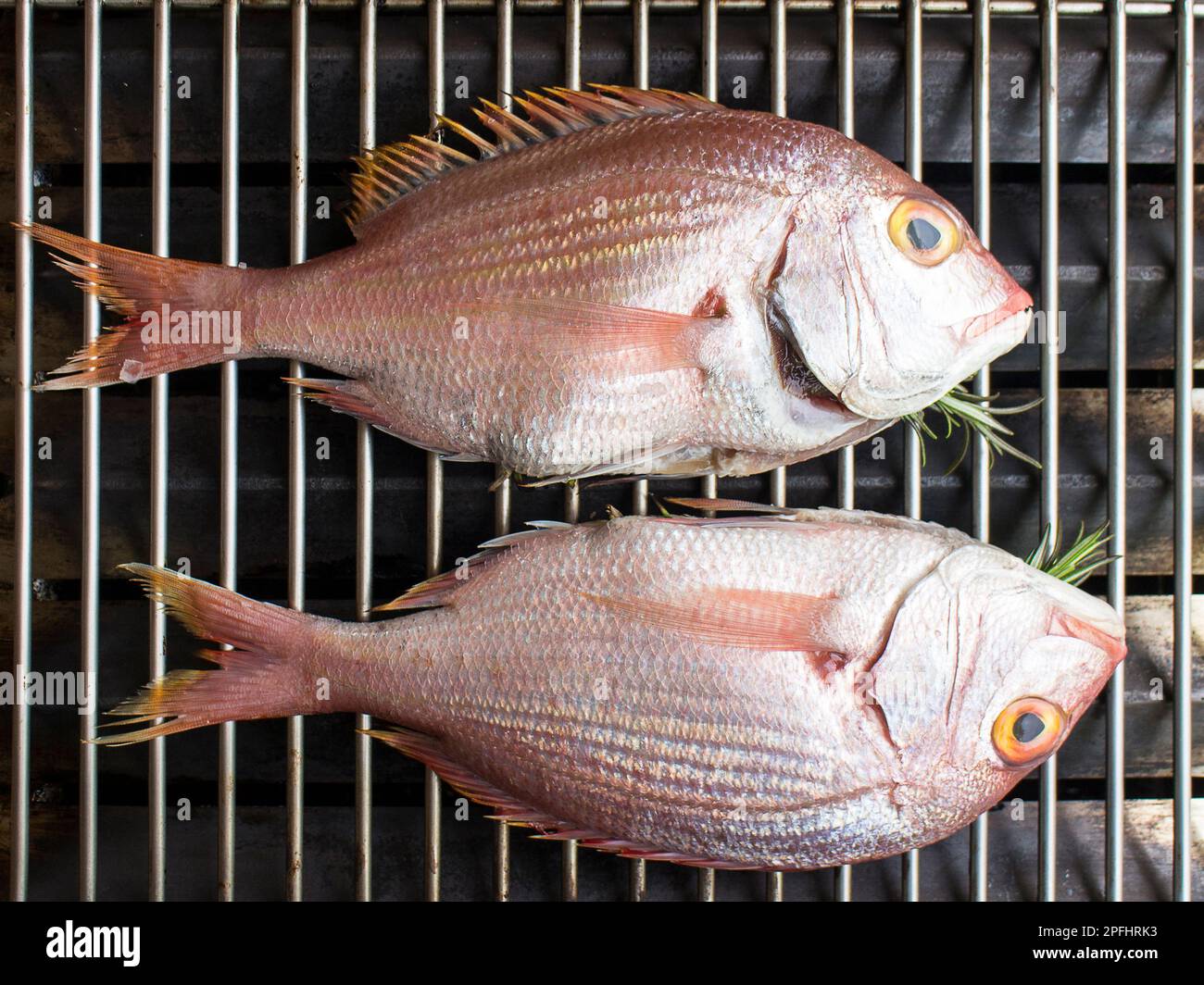 red snapper on the grill Stock Photo - Alamy
