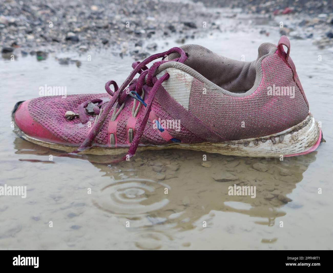 an old abandoned colorful sad sneaker in a puddle filled with rain ...