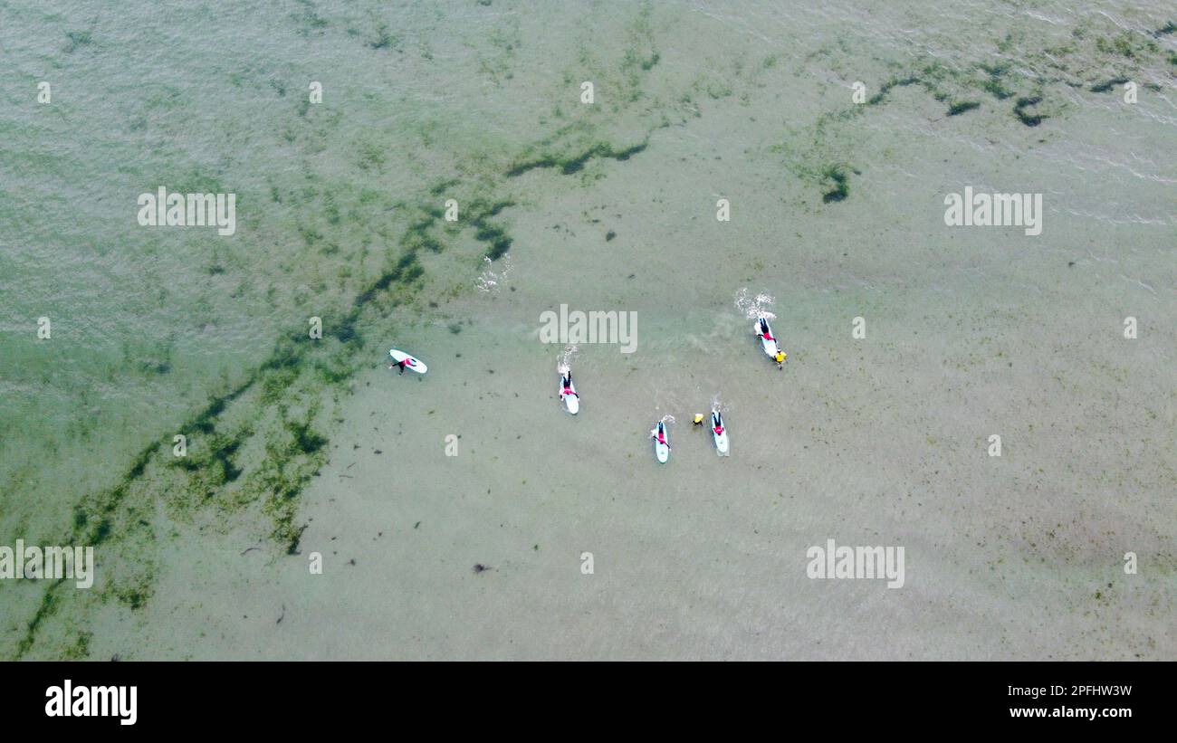 A surfers with surfboards on the sea are waiting for waves, top view ...