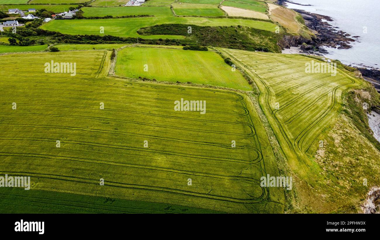 Green fields of ireland hi-res stock photography and images - Alamy