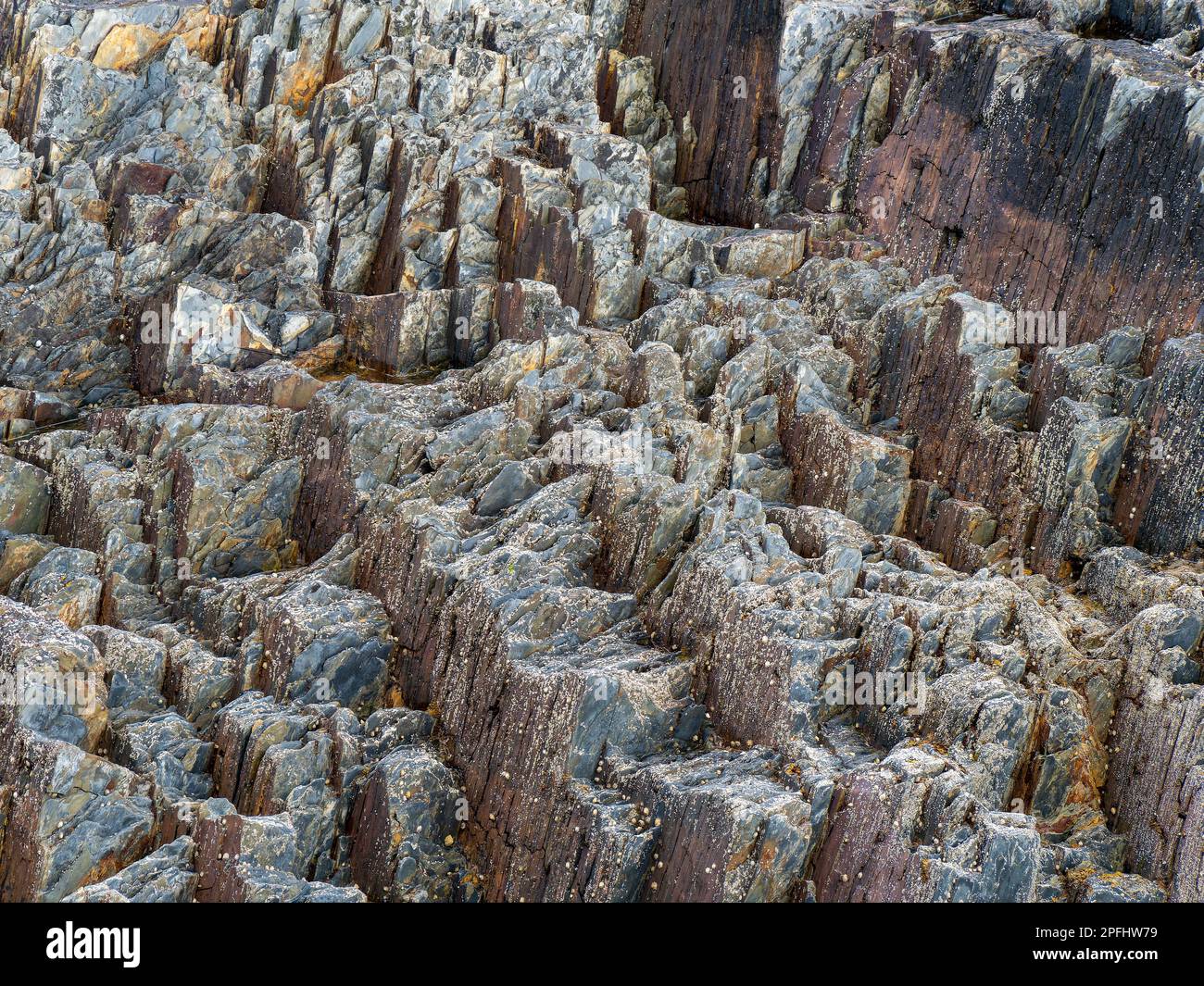 Stone close-up, background. Compressed rock layers formation in various ...