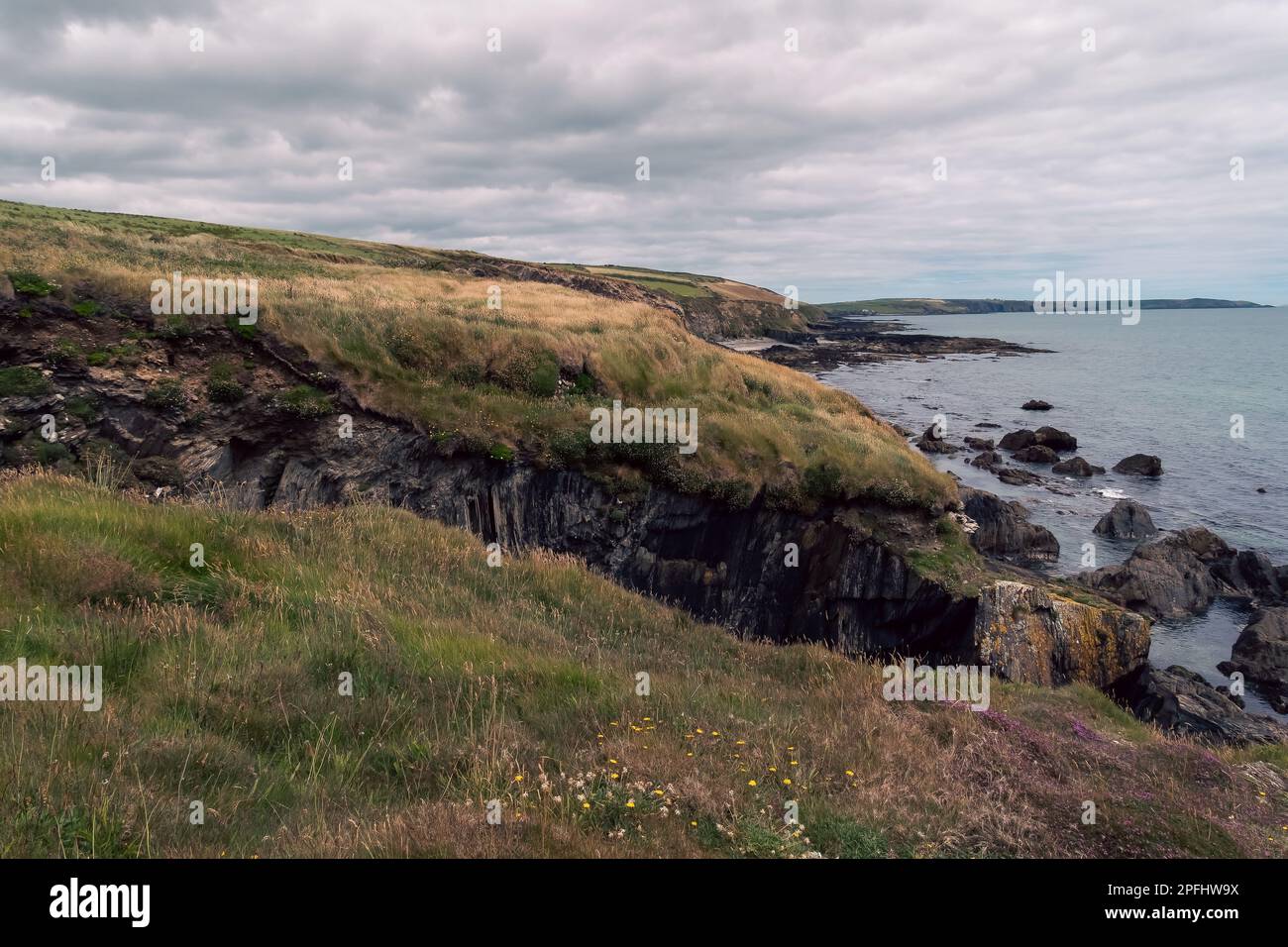 Picturesque Irish seaside landscape. Wild vegetation grows on stony ...