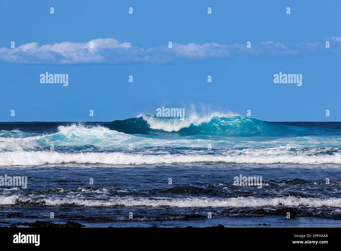 Popcorn beach near Corralejo on the island of Fuerteventura in the ...