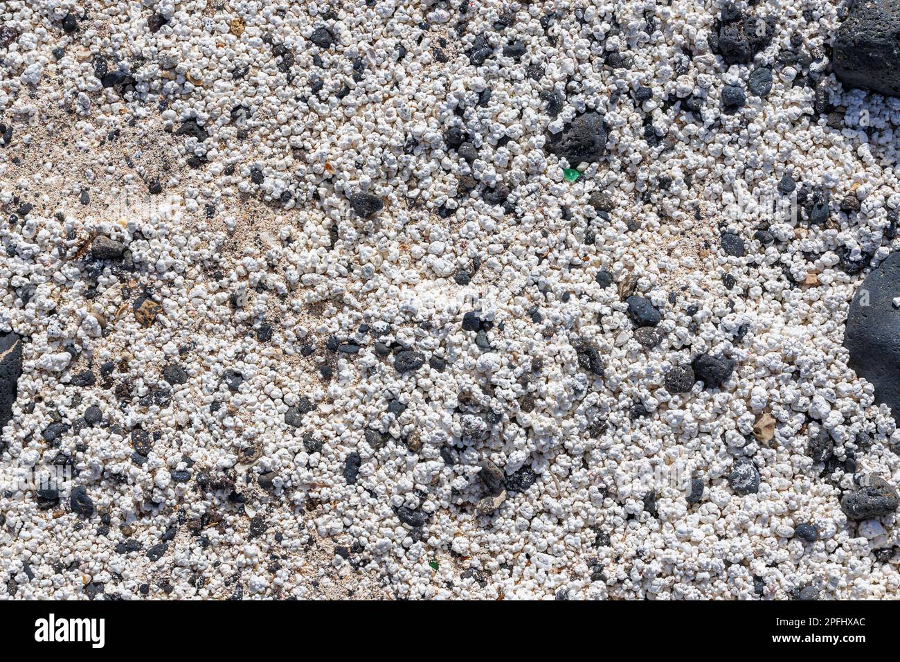 Popcorn beach near Corralejo on the island of Fuerteventura in the ...