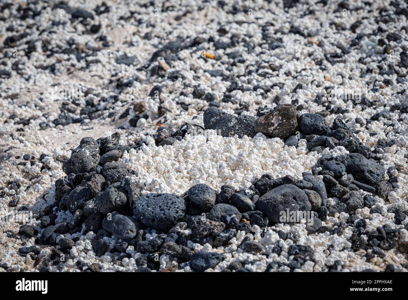 Popcorn beach near Corralejo on the island of Fuerteventura in the ...