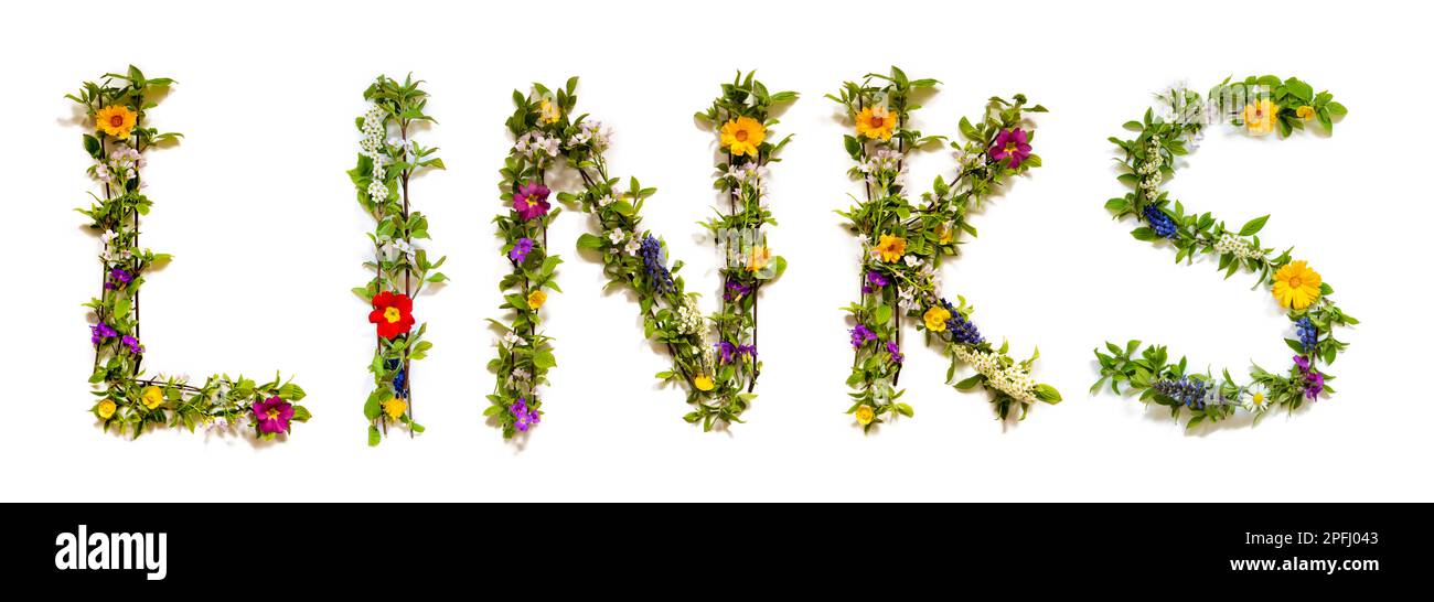 Colorful Blooming Flower Letters Building Word Links Stock Photo - Alamy