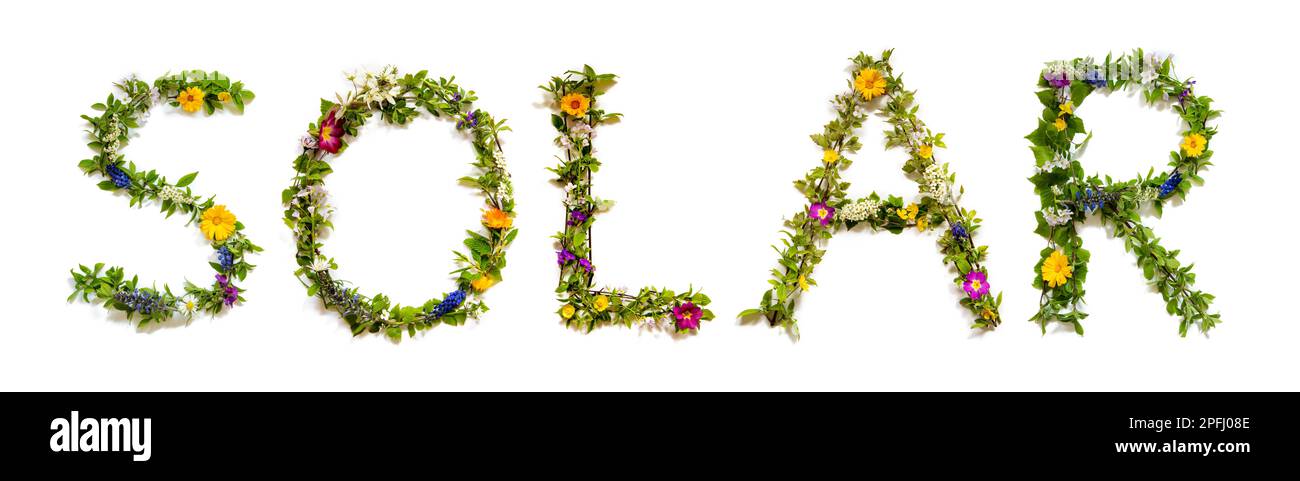 Blooming Flower Letters Building English Word Solar Stock Photo - Alamy