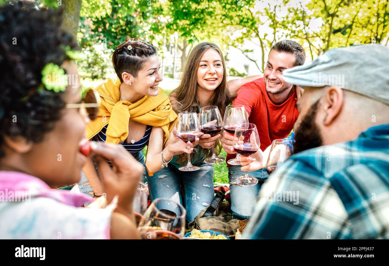 Young friends having fun out side toasting wine at picnic party - Happy ...