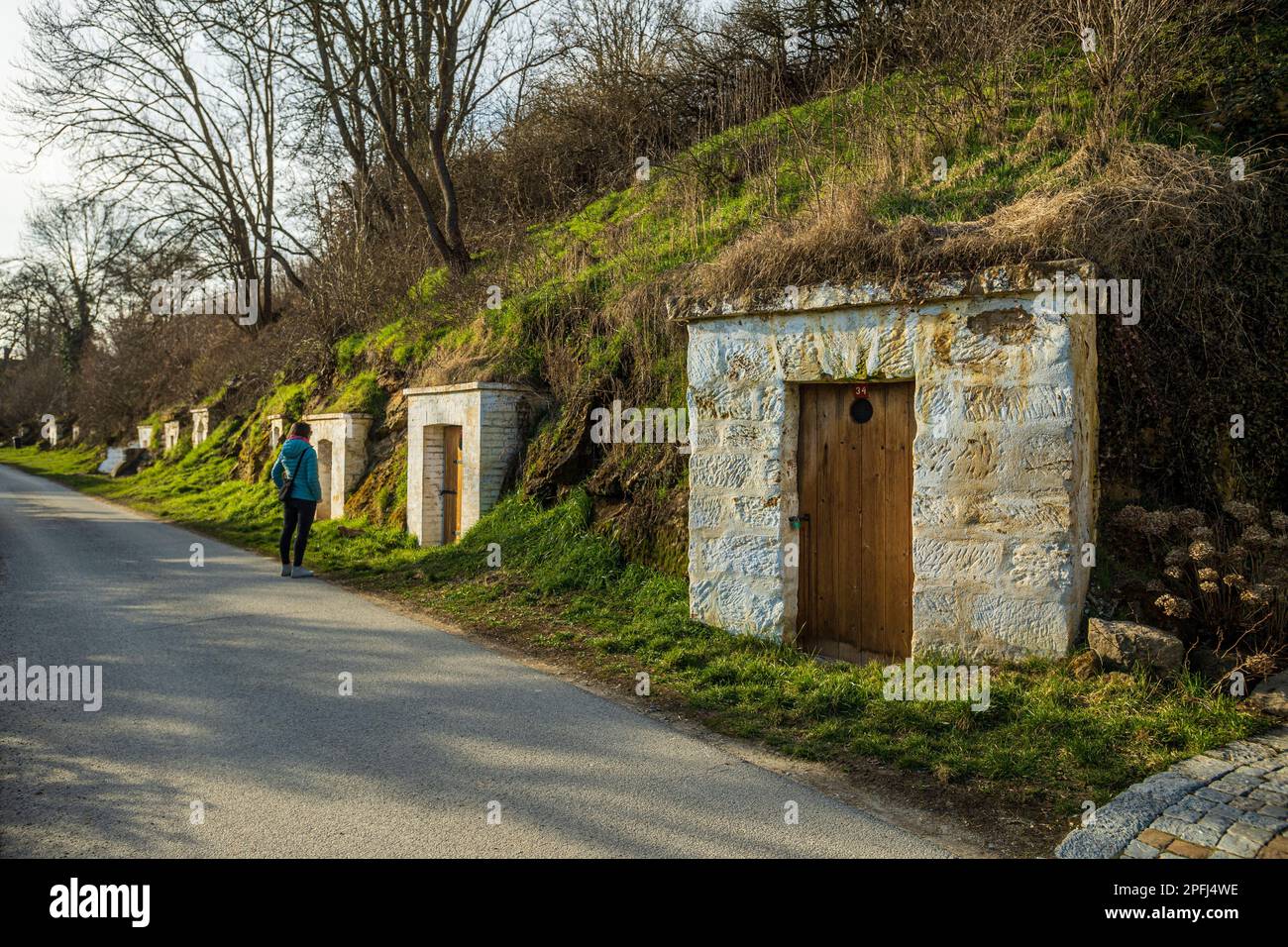 Duba, Czech Republic. 17th Mar, 2023. Rock cellars for food ...