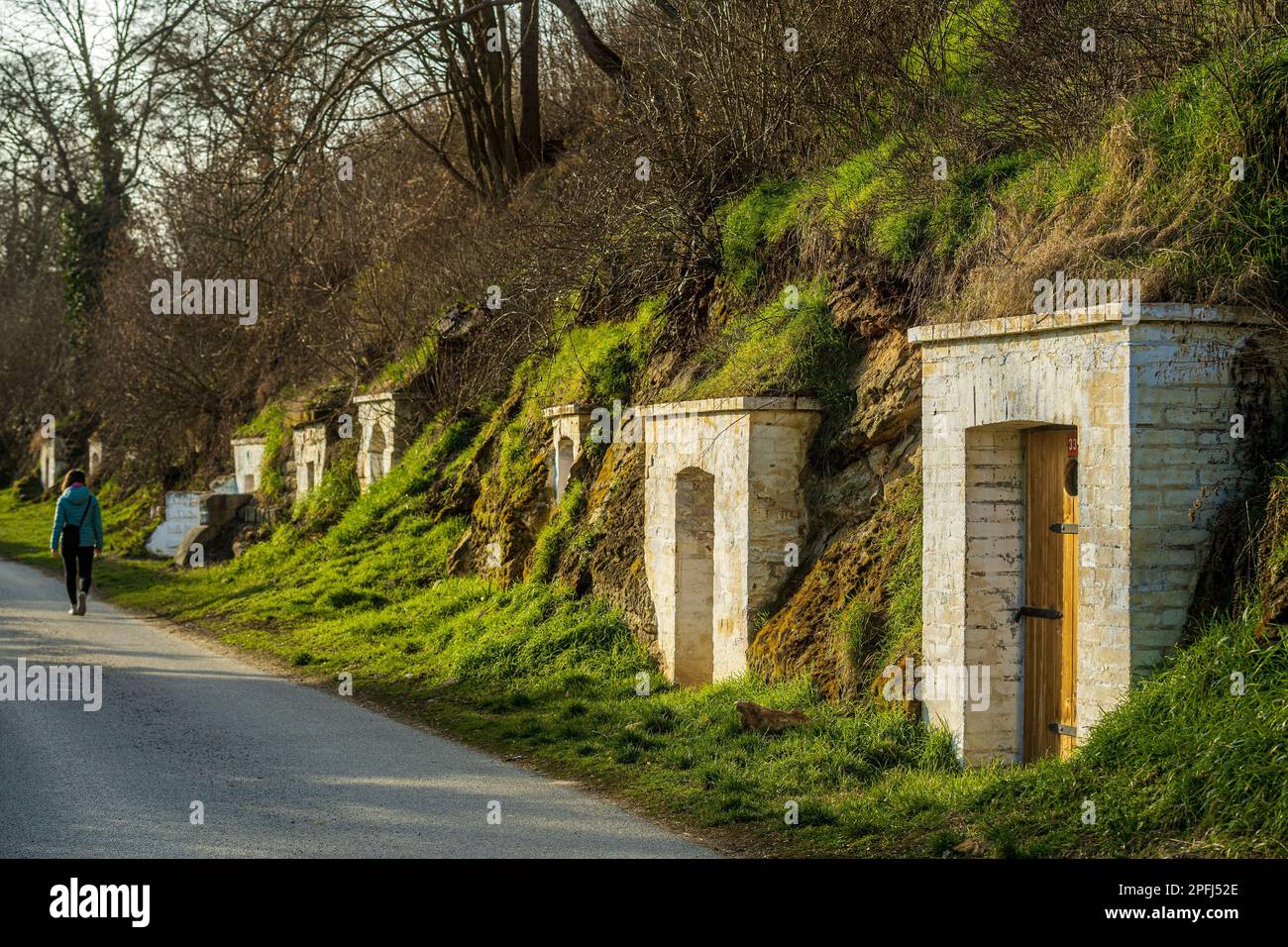 Duba, Czech Republic. 17th Mar, 2023. Rock cellars for food ...