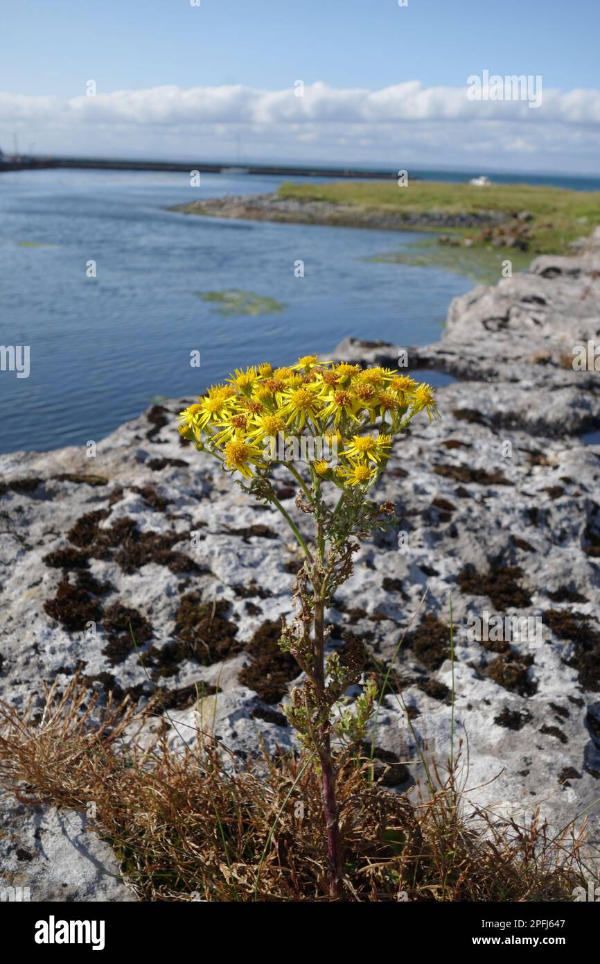 Ballyvaughan village hi-res stock photography and images - Alamy