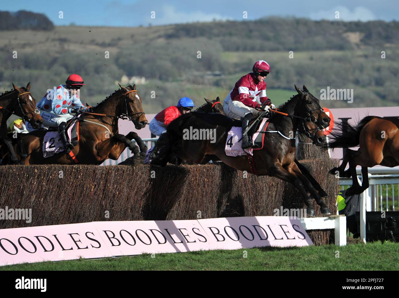 Conflated horse hi-res stock photography and images - Alamy