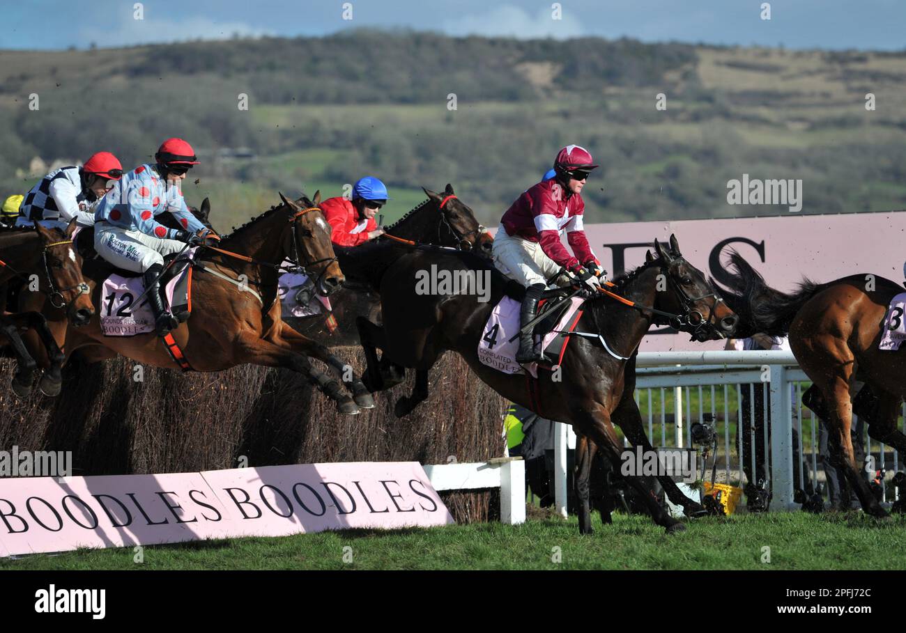 Conflated horse hi-res stock photography and images - Alamy