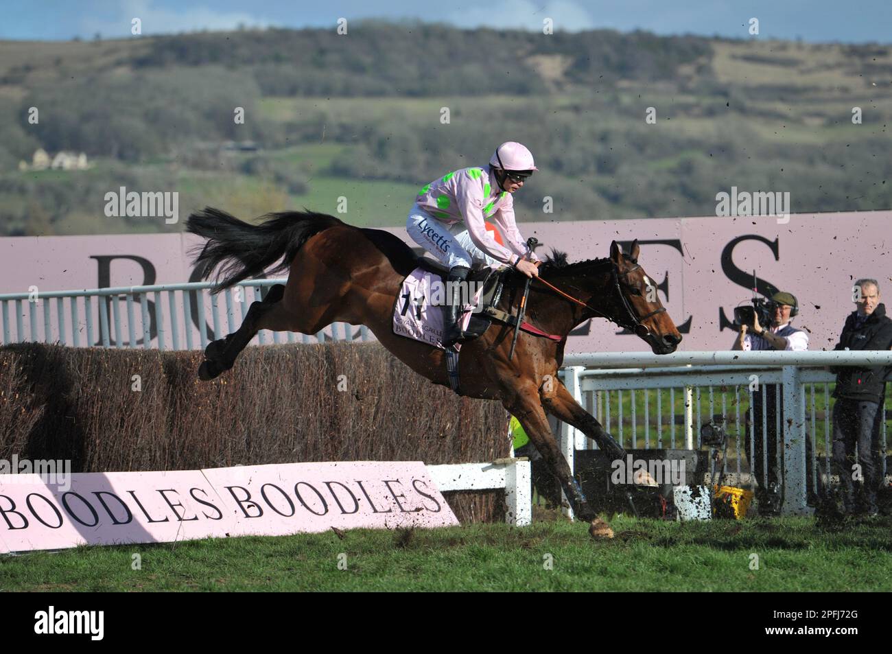 Royale pagaille horse hi-res stock photography and images - Alamy