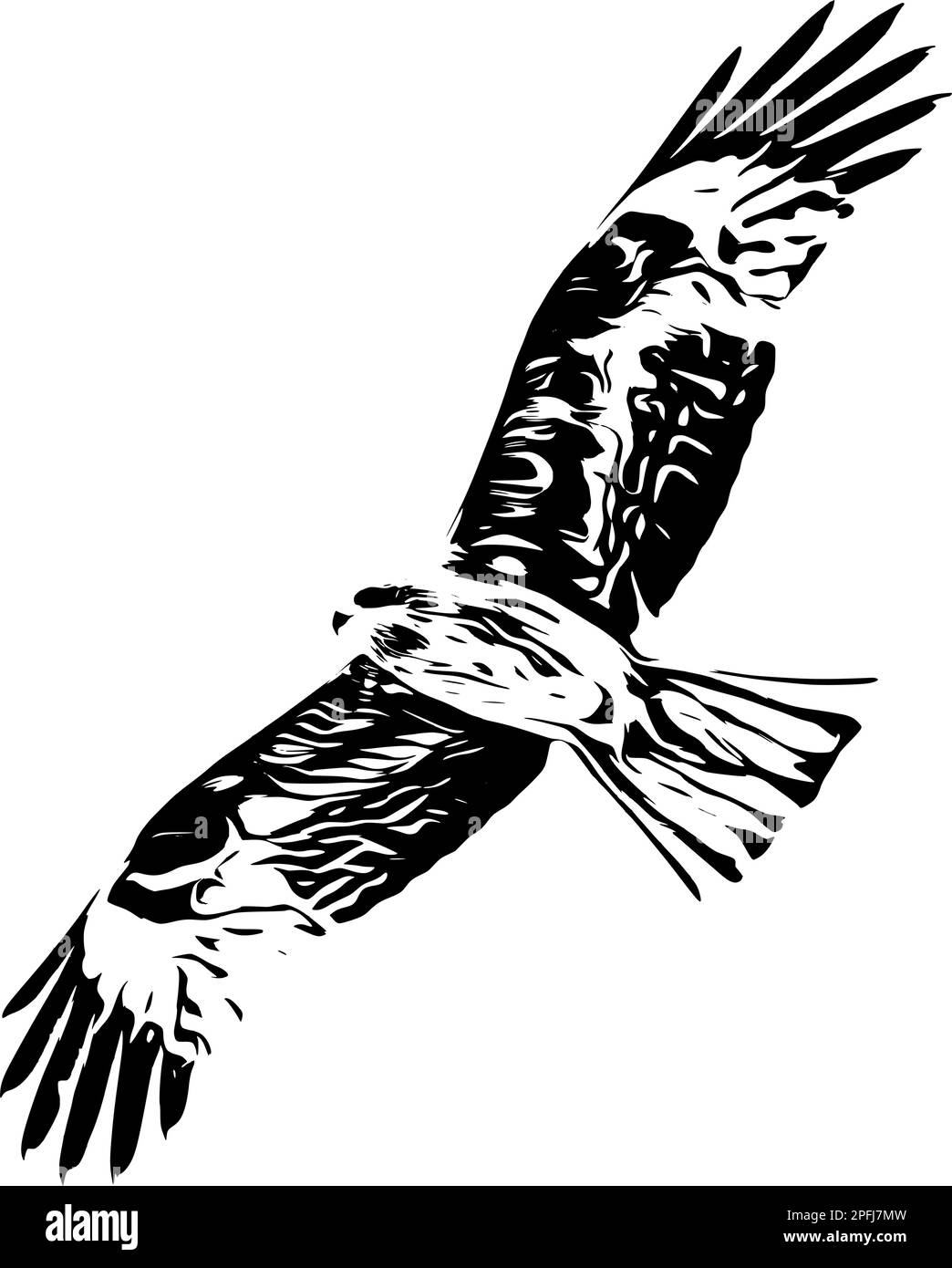 Bird of prey silhouette Black and White Stock Photos & Images - Alamy