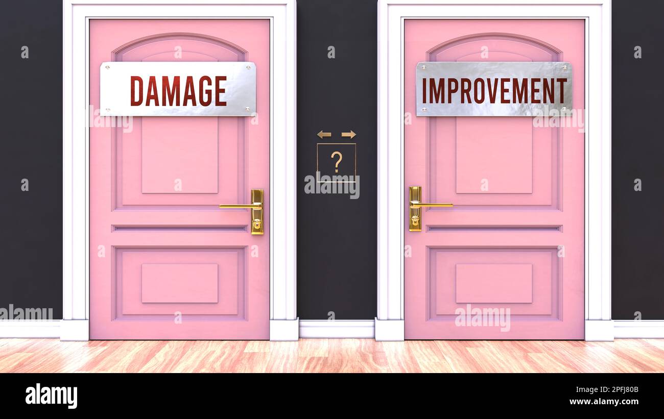 Making a choice and deciding in favor of either Damage or Improvement ...